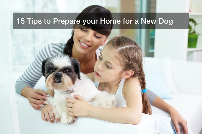 15 Tips to Prepare your Home for a New Dog - Juger Edelweiss